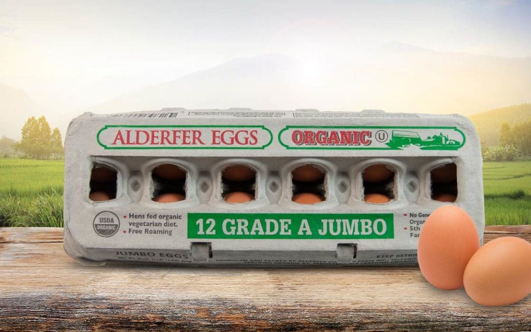 Alderfer Eggs Class Action Settlement: Consumer Rights Violated?